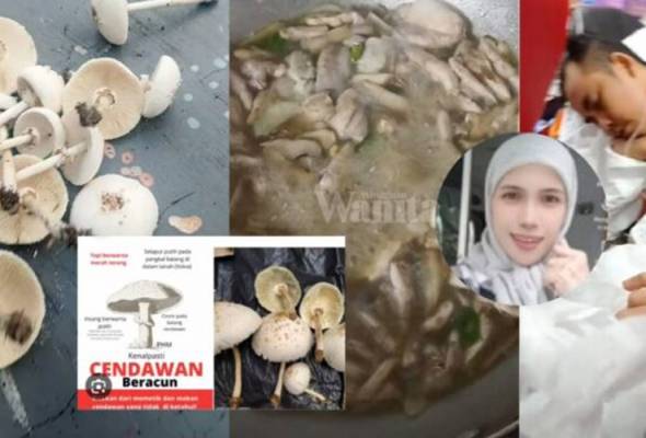 Anak beranak muntah jamah cendawan beracun, wanita ini kongsi kisah ...