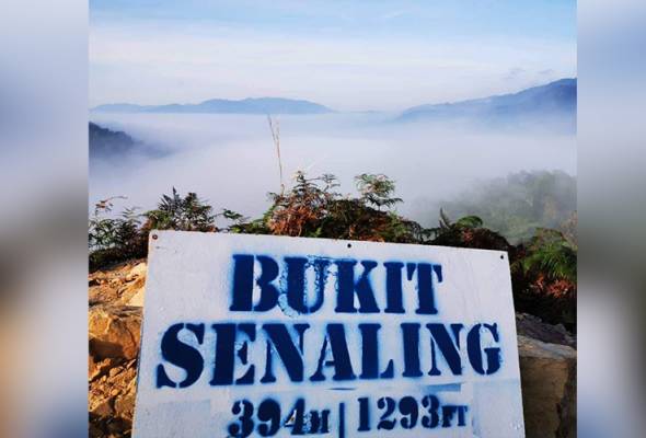 PRN Negeri Sembilan: Calon BN tekad promosi keindahan 'awan karpet ...