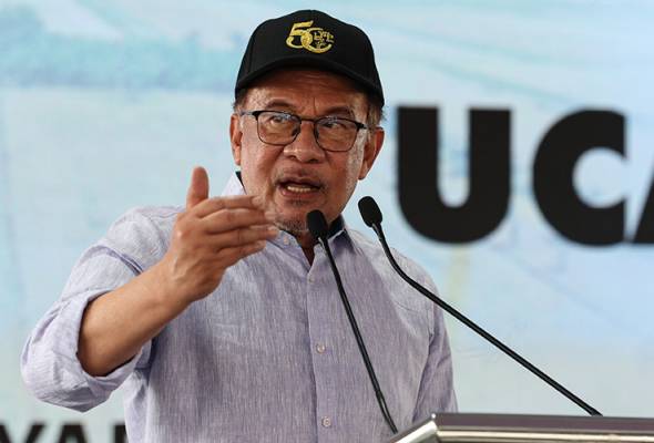Kadar subsidi harga padi naik kepada RM500 per metrik tan mulai esok - PM Anwar | Astro Awani
