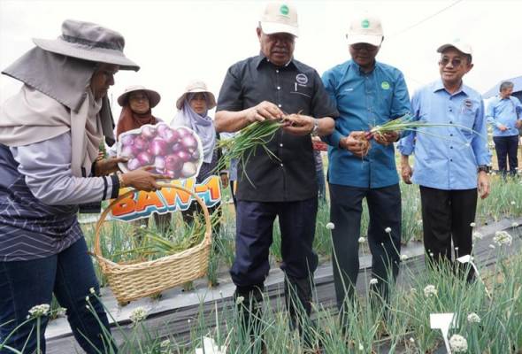 MARDI pamer teknologi sejak 50 tahun lalu dalam 'Showtech MARDI 2023 ...