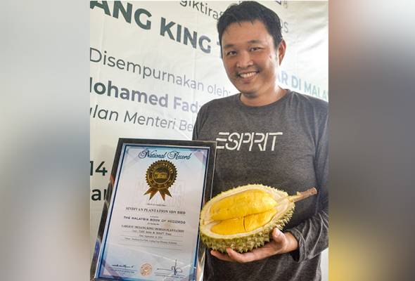 MBOR iktiraf Ladang Sindiyan sebagai tanaman Musang King terbesar ...