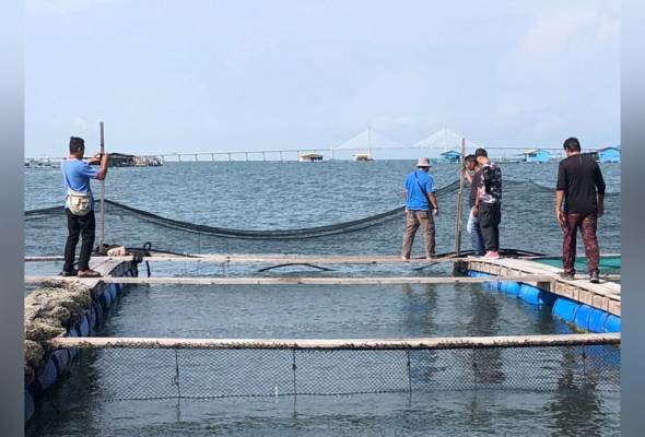 Air merah: Pulau Pinang akan salur bantuan kepada penternak ikan dalam ...