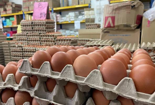 Peruncit didenda RM10,000, jual telur lebihi harga kawalan | Astro Awani