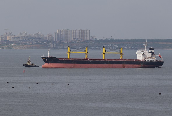 Ukraine exports 700,000 T grain via new Black Sea corridor - Minister ...