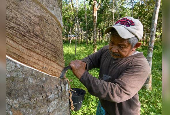 Malaysia bekerjasama dengan negara pengeluar utama dunia stabilkan ...