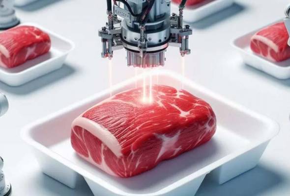 Daging cetakan 3D boleh dimakan jika guna DNA haiwan halal - MUIS ...
