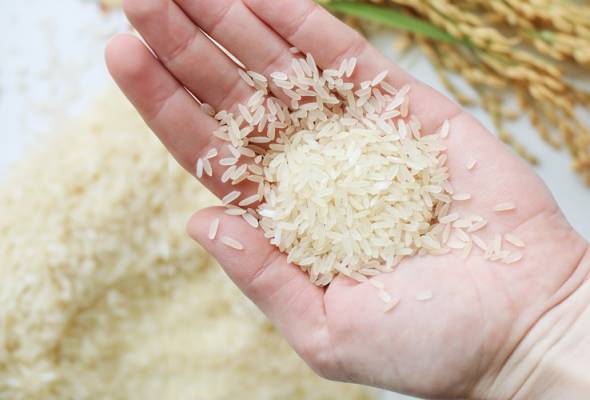 Stok fizikal beras negara mampu tampung keperluan hampir enam bulan | Astro Awani