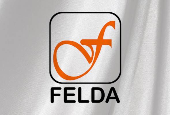 Laporan Ketua Audit Negara: Felda akan tingkat kecekapan operasi ...