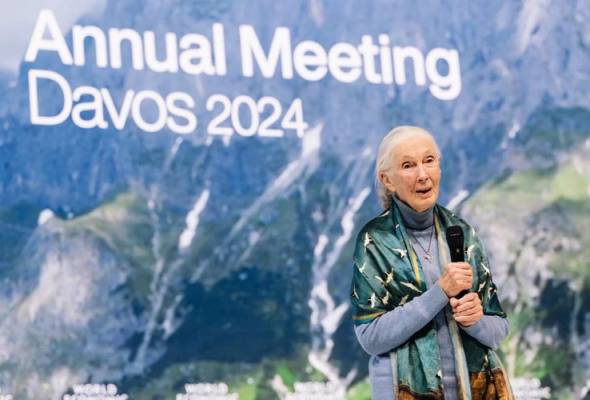Four lessons from Jane Goodall as the renowned primatologist turns 90 ...