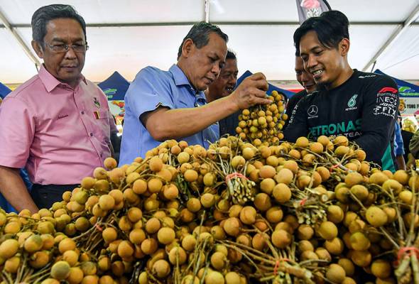 FAMA sasar RM7.3 juta jualan FAMA Fest tahun ini | Astro Awani