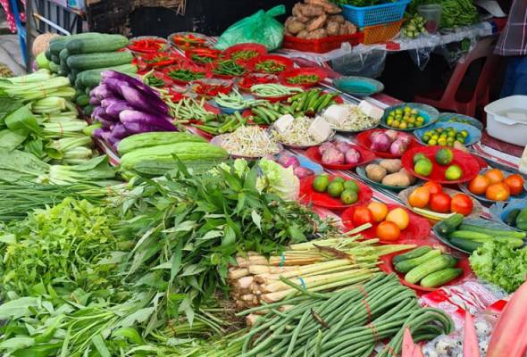 Jawatankuasa khas dibentuk tangani isu pencemaran racun dalam sayur ...
