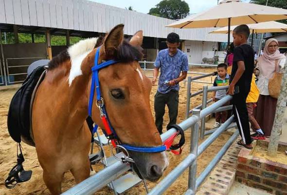 Lima haiwan di Zoo Rimba Razia mati akibat cuaca panas | Astro Awani