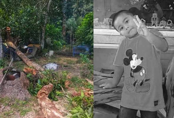 Kanak-kanak 3 tahun maut dihempap pokok kelapa | Astro Awani