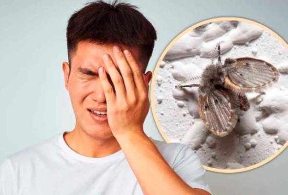 Carian mengenai topik buta-mata-kiri | Astro Awani