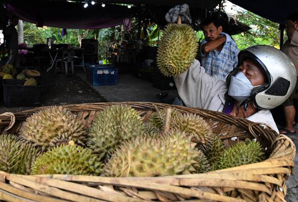 Eksport durian segar ke China tidak jejas pasaran tempatan | Astro Awani