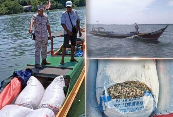 Cuba seludup 2,400kg ikan bilis ke Filipina, tekong bot ditahan | Astro ...