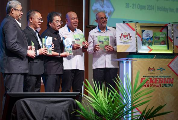 KPSM digesa lebih proaktif majukan ladang sawit terbiar untuk penanaman semula - Johari | Astro ...