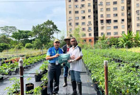 Banci Pertanian 2024: Menilai sektor pertanian demi masa depan negara ...