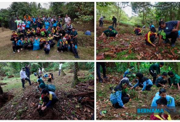 Penanaman semula pokok di Gunung Brinchang kembalikan haiwan ke habitat ...