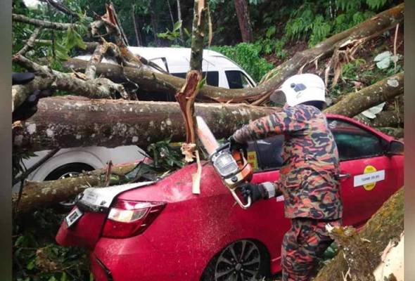 Pokok tumbang hempap lima kenderaan di Genting Highlands | Astro Awani
