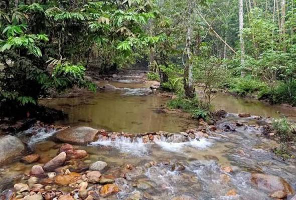 Monsun Timur Laut: Aktiviti hutan simpan, taman eko Selangor ditutup ...