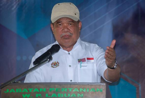 Kerajaan rombak strategi tangani isu kekurangan beras putih tempatan | Astro Awani