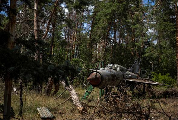 Ukraine's vast forests devastated in hellscape of war | AWANI International