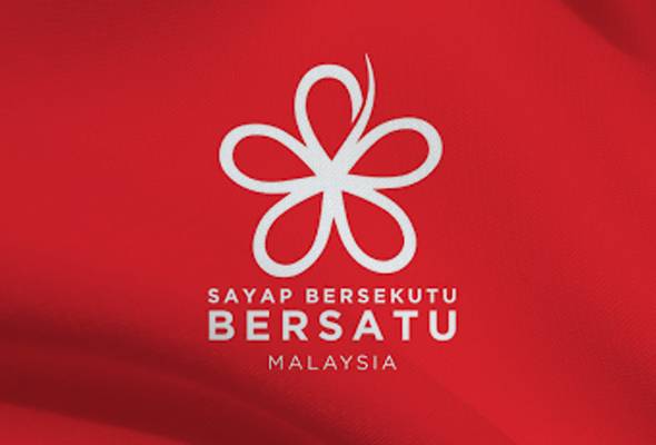 Pemilihan Bersatu bahagian Jasin 'dibekukan' susulan penggantungan ...
