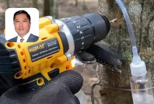 Industri getah tidak patut dilihat sebagai industri malap - CEO P2 ...