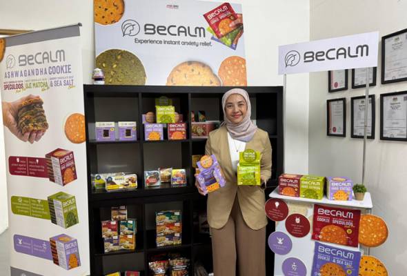BeCalm: Snek fungsional untuk redakan tekanan minda dalam masa 15 minit ...