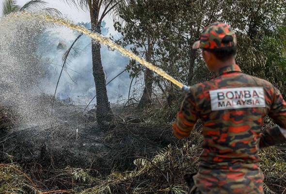 Cuaca kering, akses laluan antara cabaran operasi bomba di ladang ...
