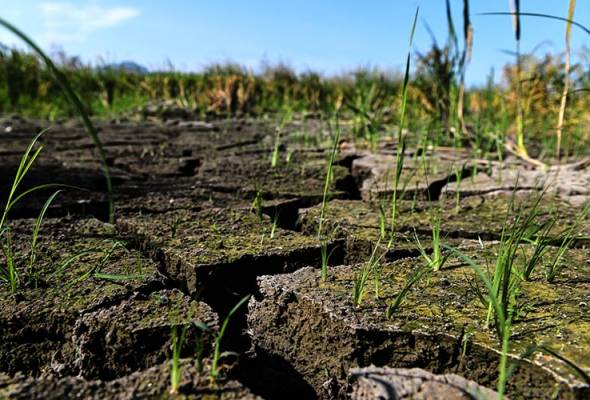 MADA siap siaga hadapi musim kering Monsun Barat Daya | Astro Awani