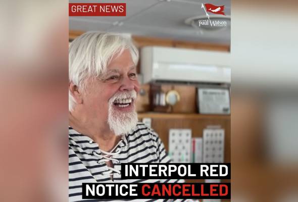 Interpol padam notis amaran terhadap aktivis antipenangkapan ikan paus ...