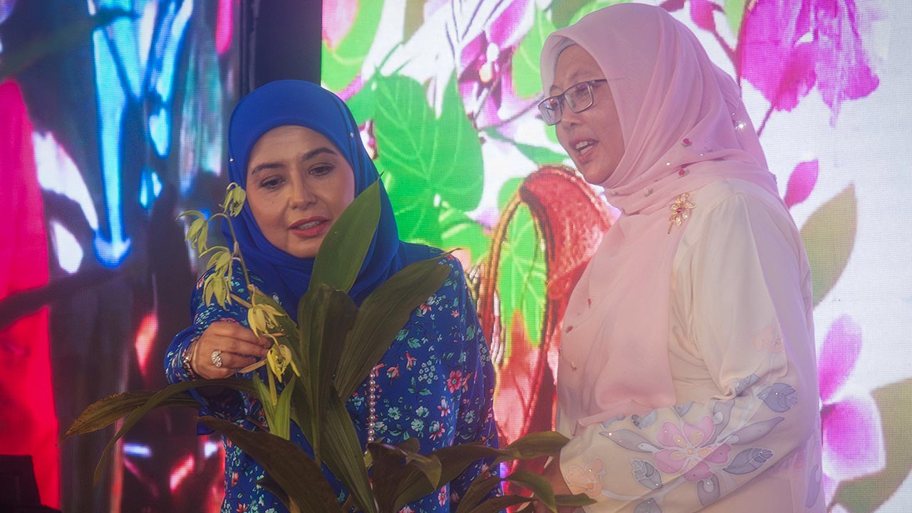 Raja Permaisuri Agong berangkat ke Festival Flora Borneo Labuan 2025 ...