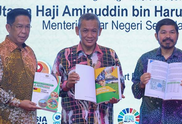 Tanaman rumput napier berpotensi besar, mampu kurangkan kos makanan ...