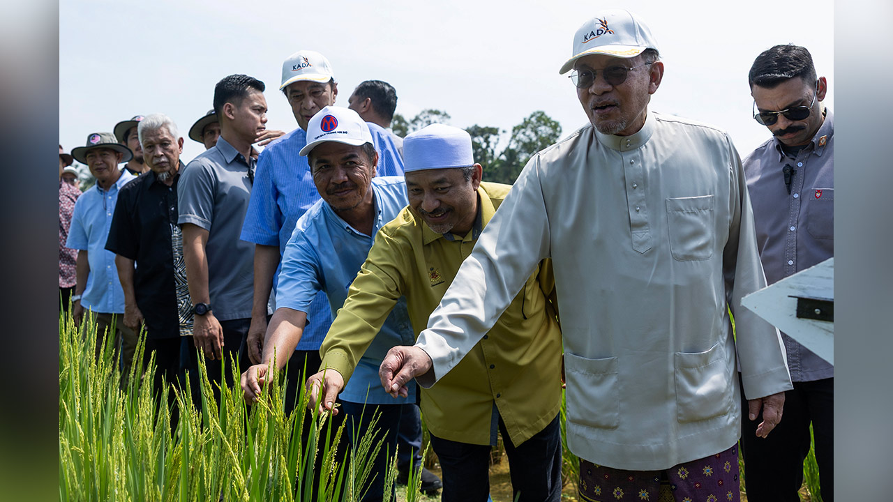 PM Anwar tinjau projek padi organik Desa Gemalai | Astro Awani